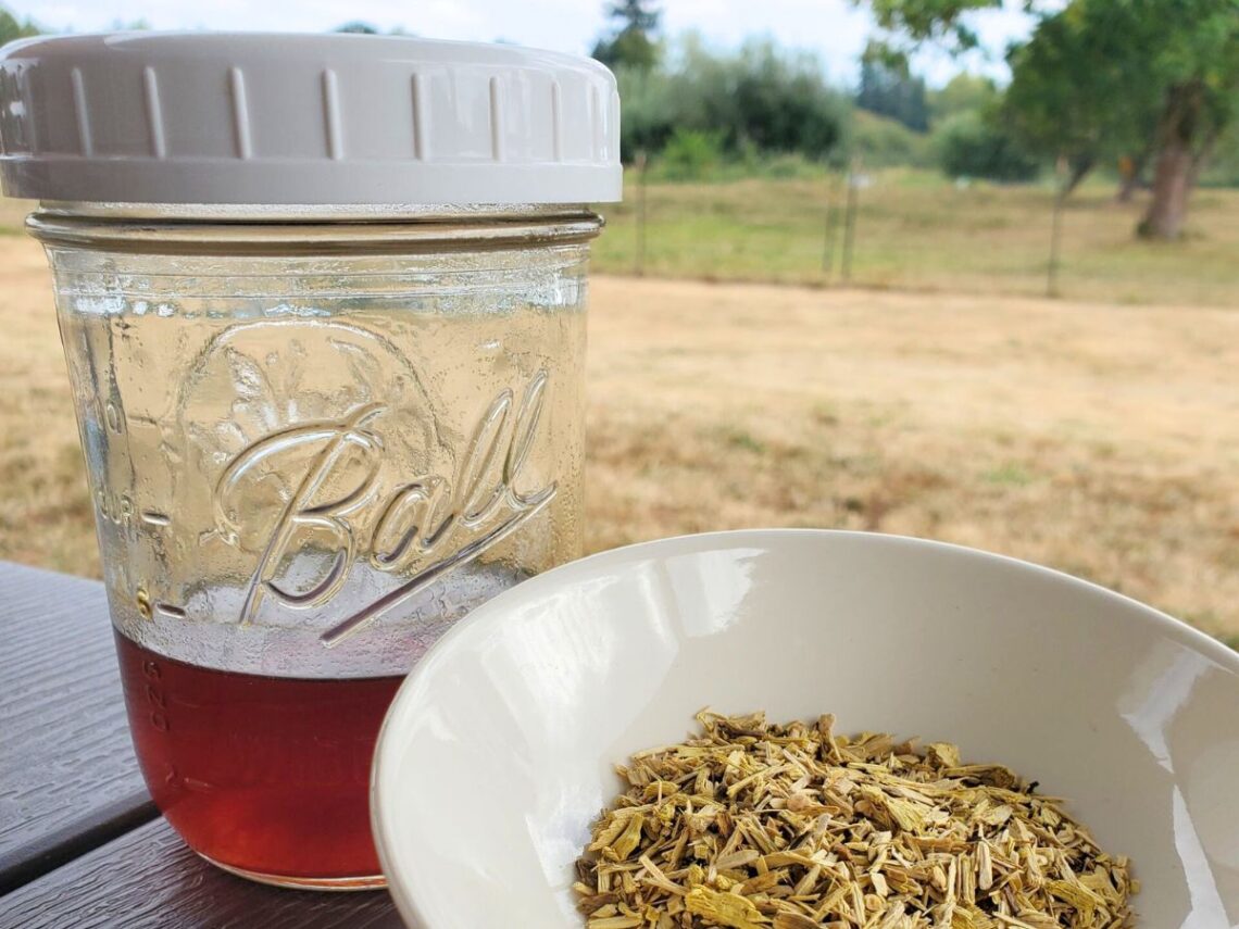 Oregon Grape Root Mouth Rinse Tincture